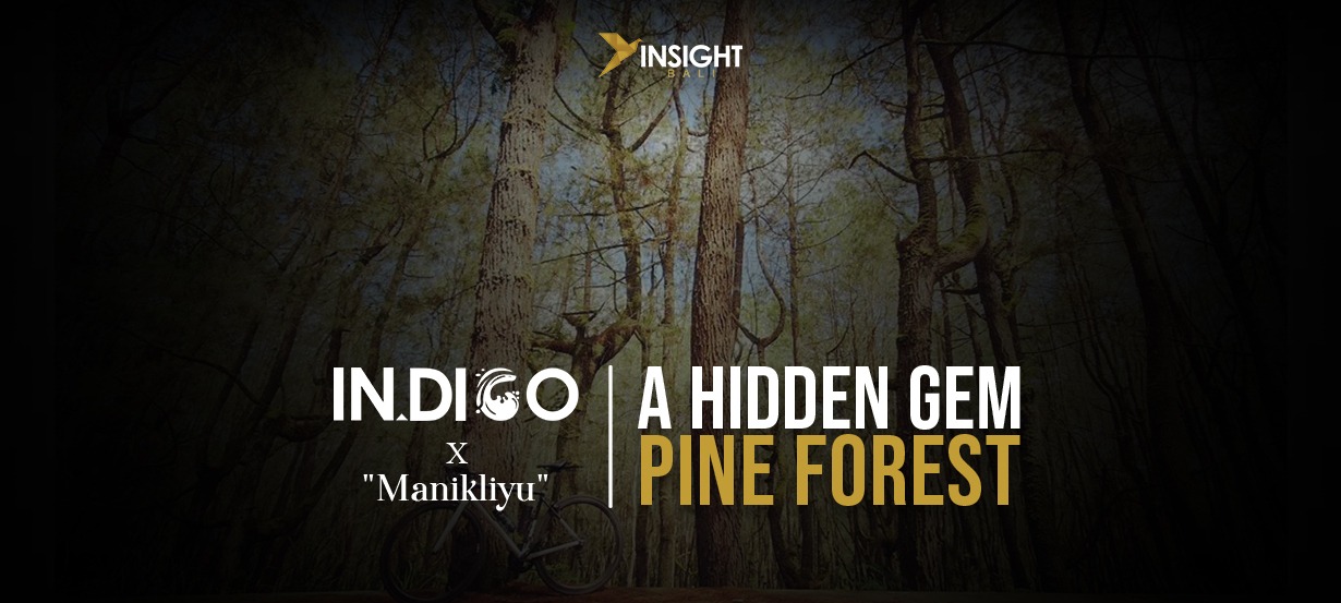 INDIGO x A Hidden Gem Pine Forest "Manikliyu" - Insight Bali