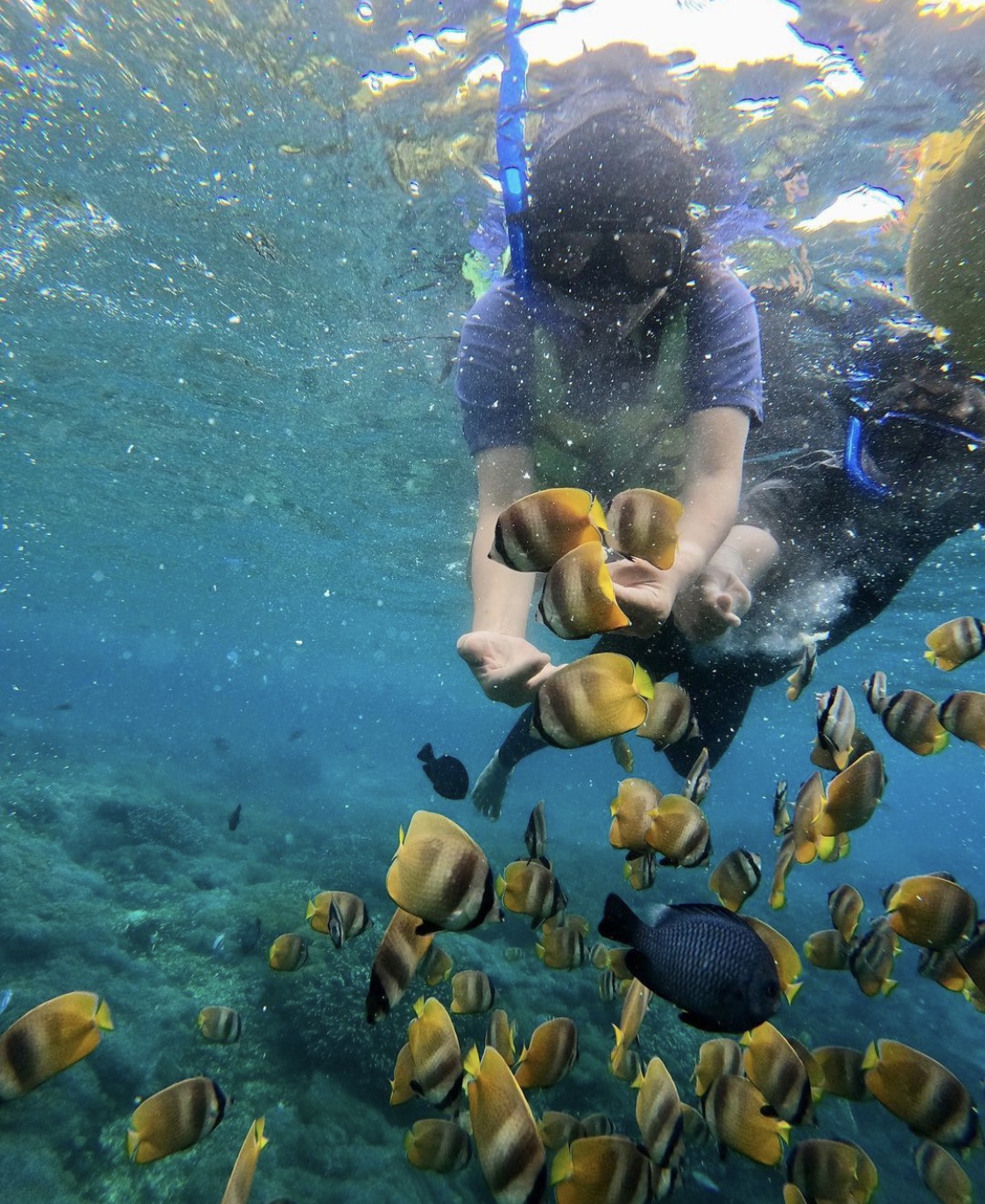Gamat Bay: A Summer Haven in Nusa Penida - Insight Bali