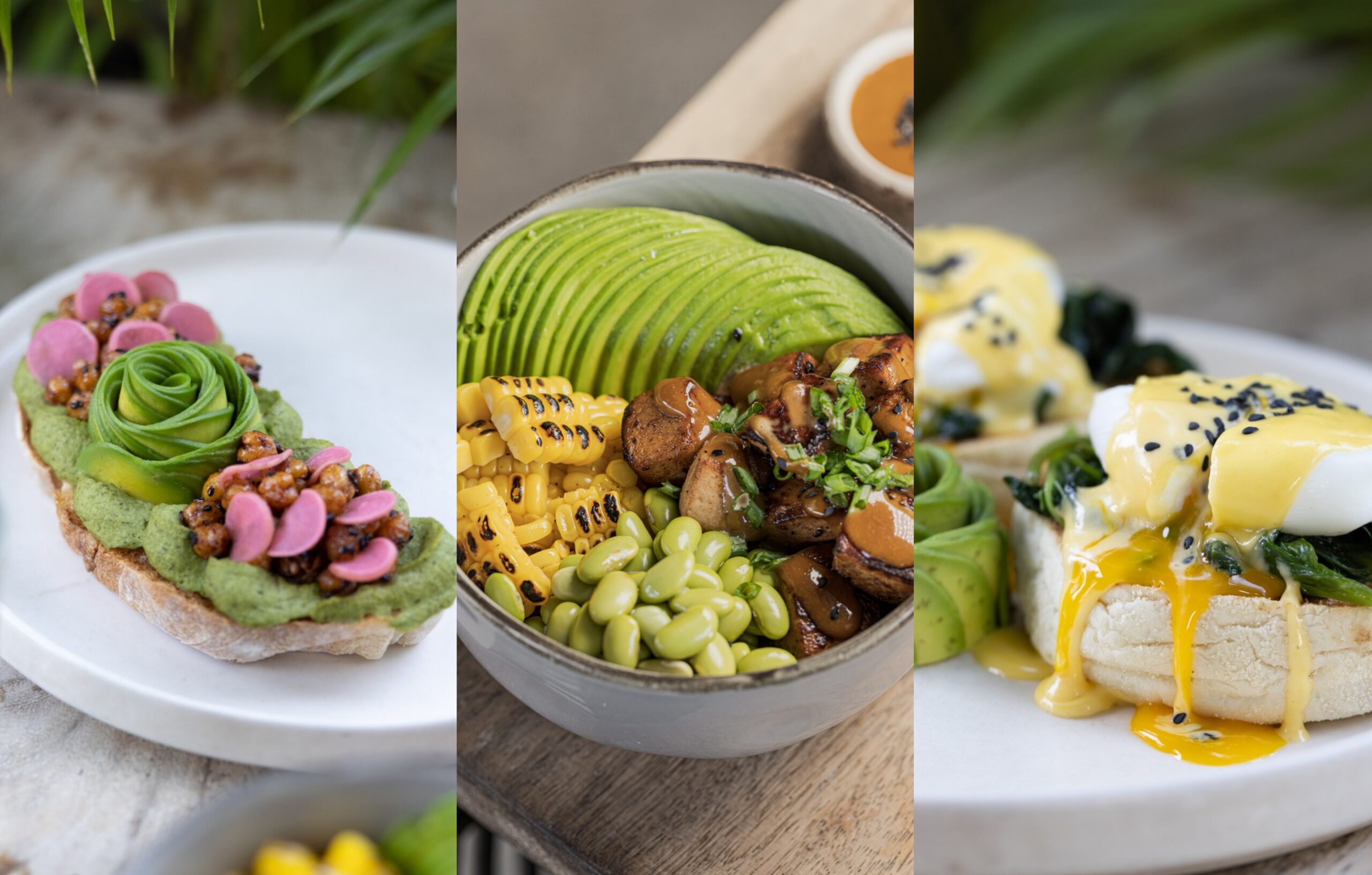 The Avocado Factory: A Fresh Home Unveiled - Insight Bali